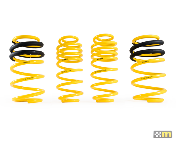 Sport Spring Kit [Puma ST] - Fully Fitted - mountune
